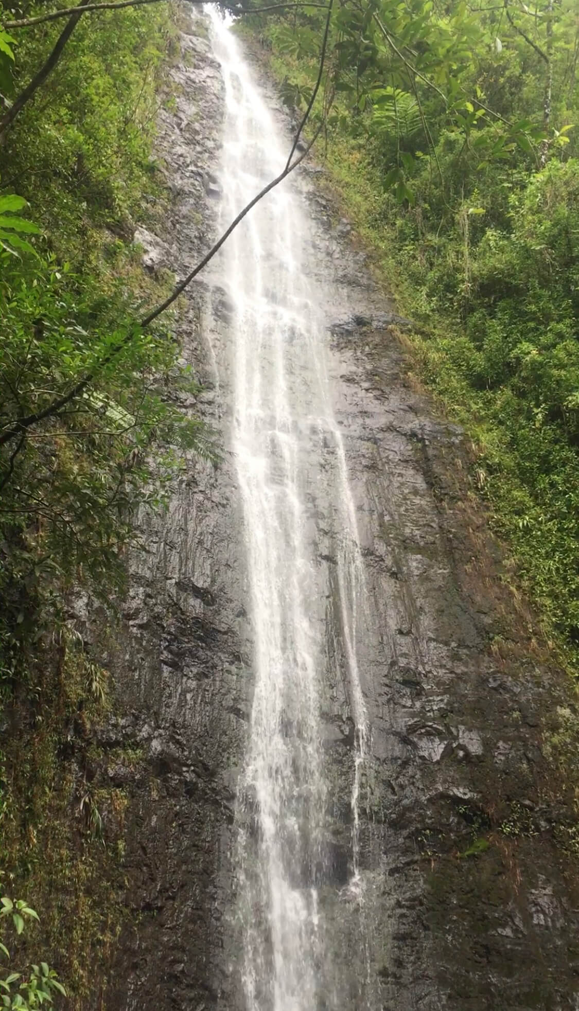 Best Waterfall Hikes On Oahu