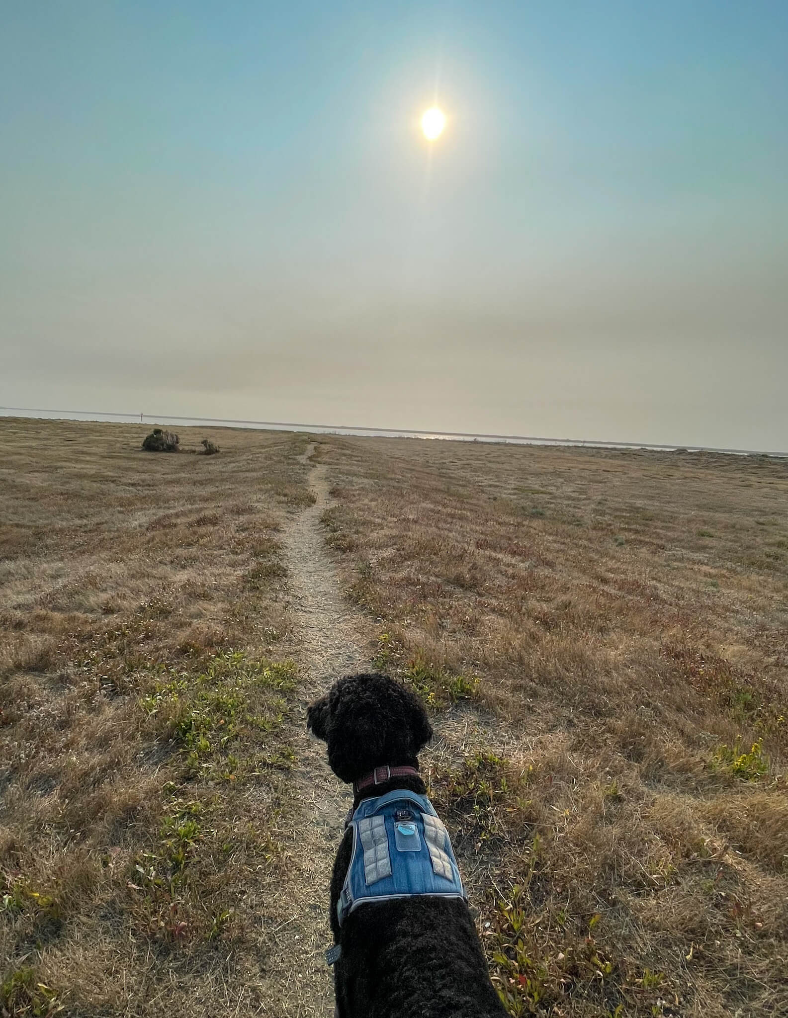 Top Things in Eureka, CA: A Northern CA Hidden Gem