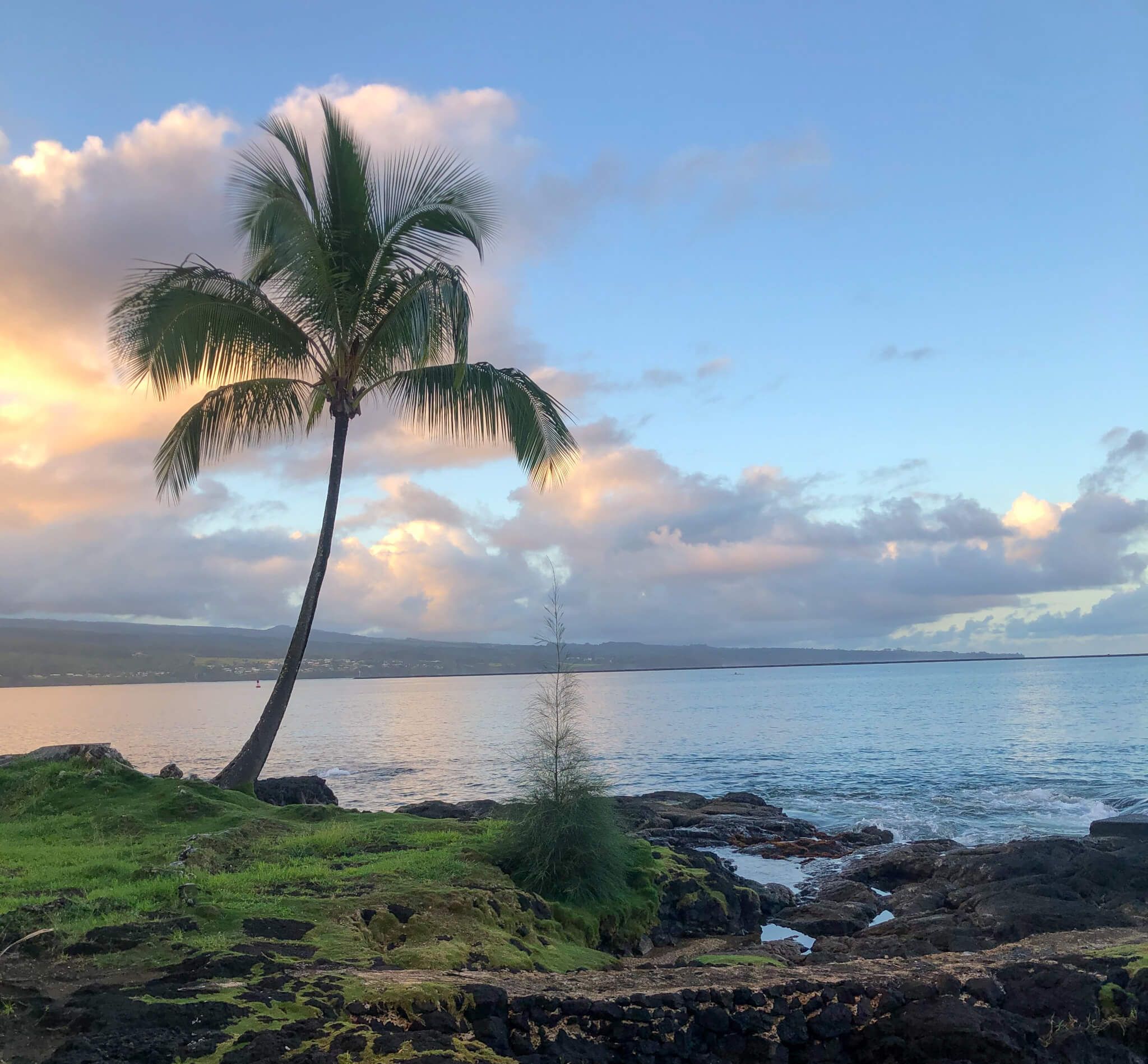 Complete Hilo Guide: The Top Things to Do In Hilo, Hawaii