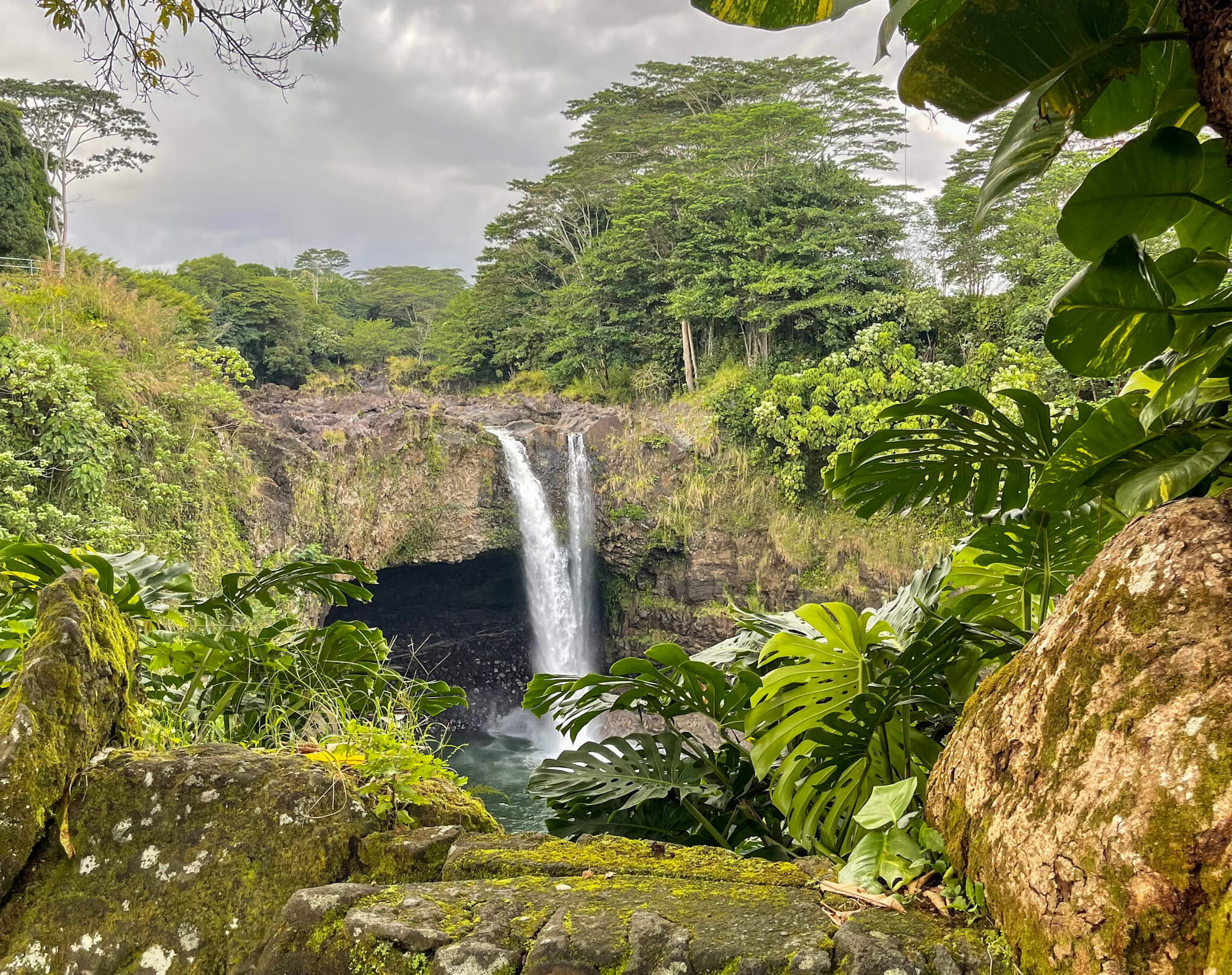 The Top Things to Do In Hilo, Hawaii: Complete Hilo Guide