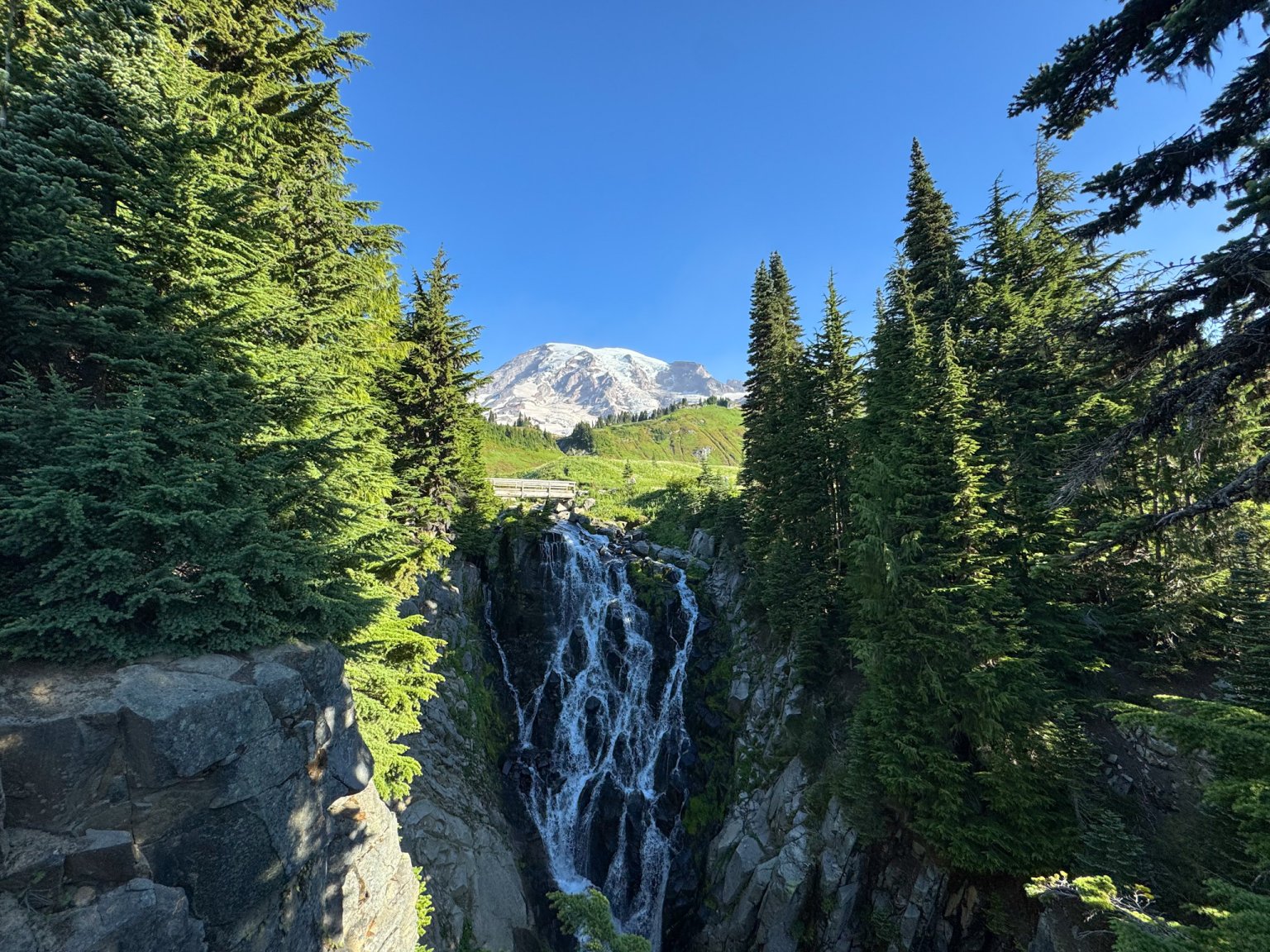 Skyline Loop Mount Rainier: The All-in-One Guide